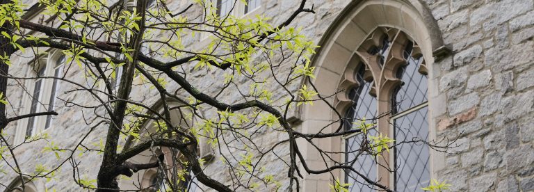 JD Admissions School Of Law jd-admissions-school-of-law